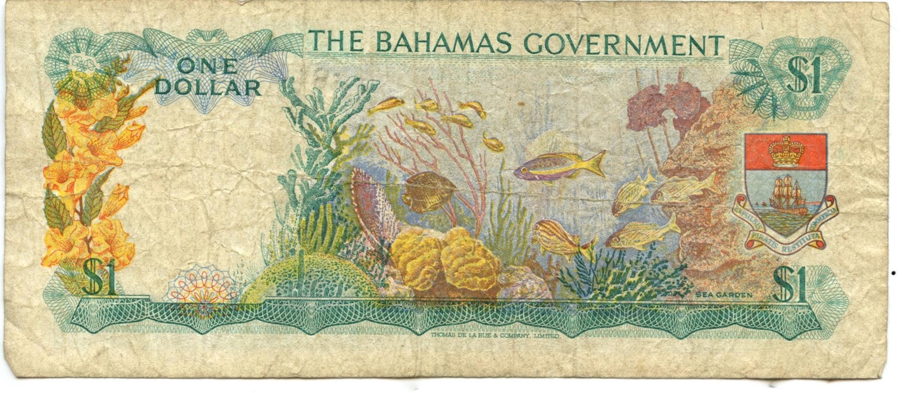 Bahamas Currency