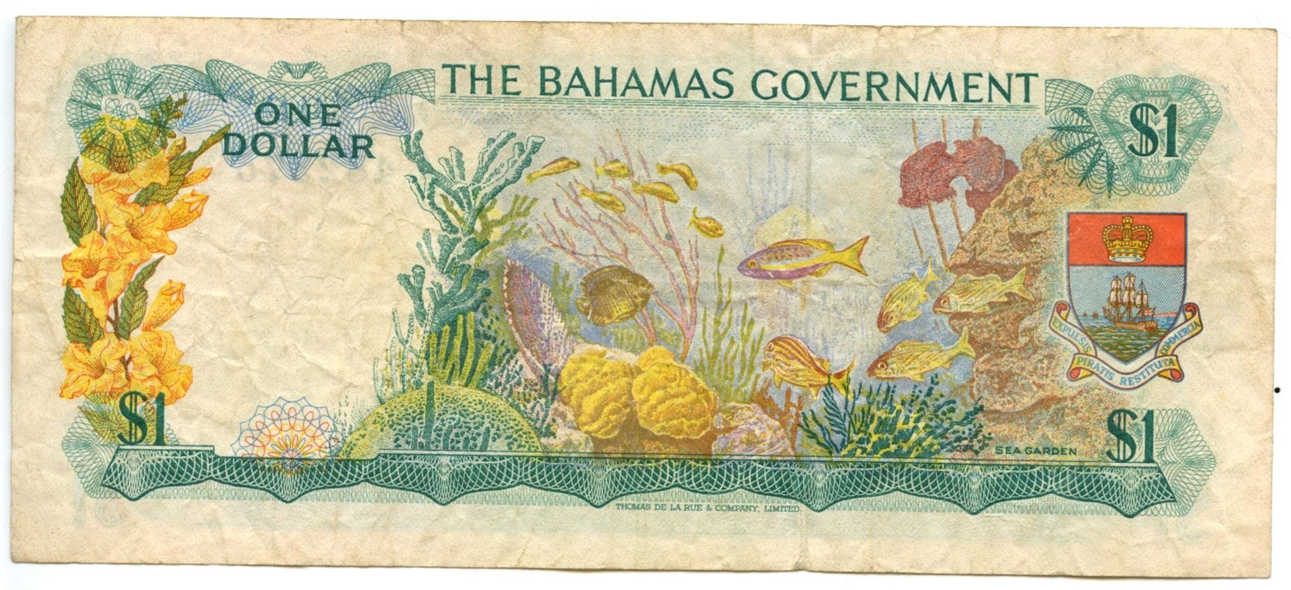 Bahamas Currency