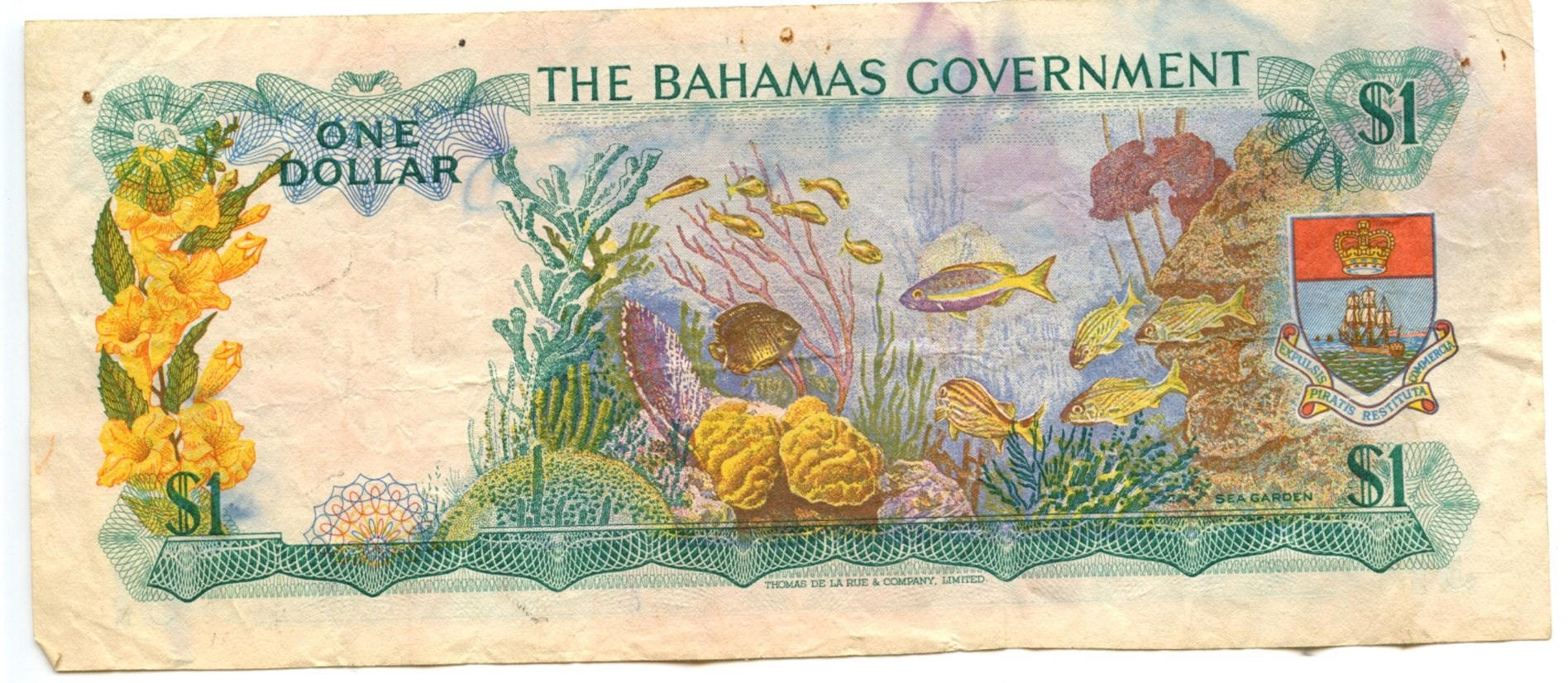 Bahamas Currency