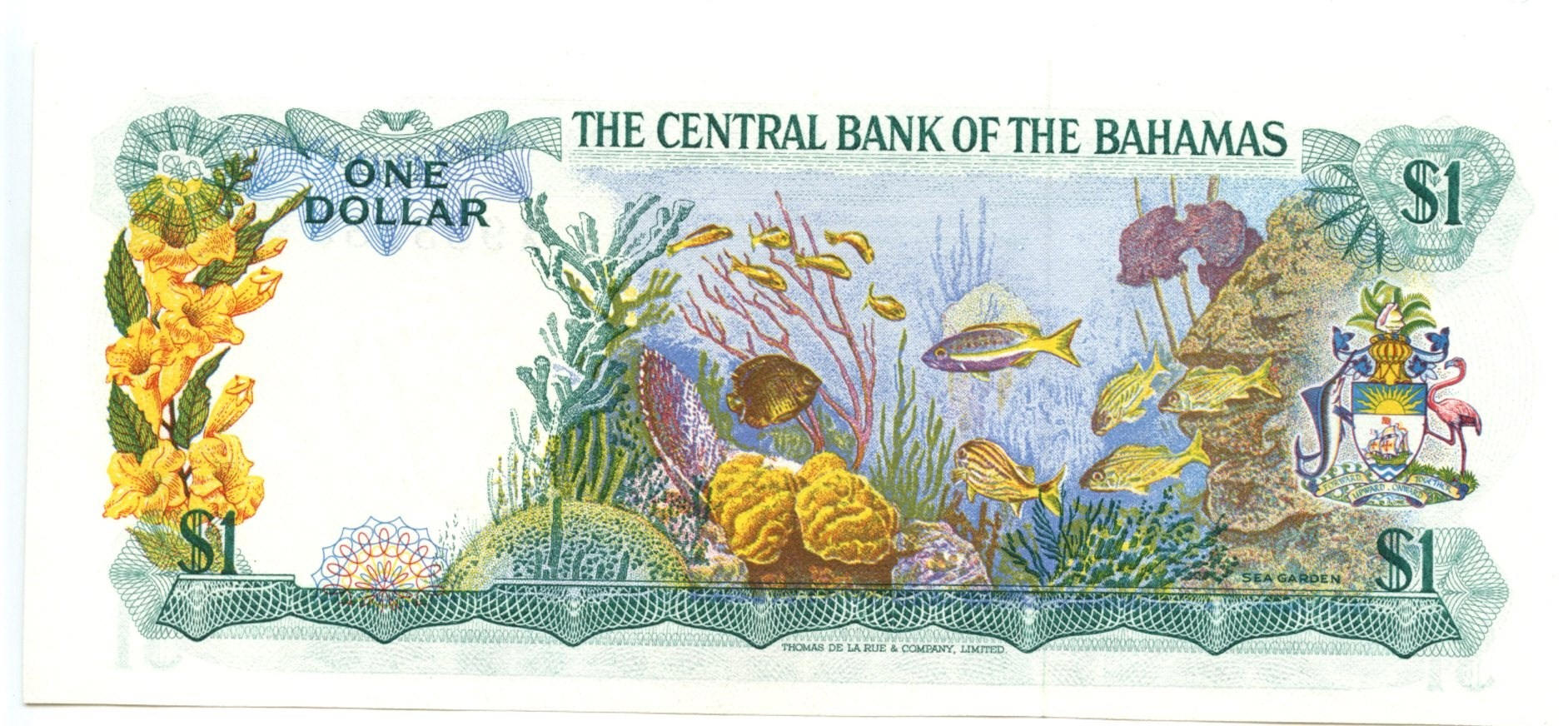 Bahamas Currency