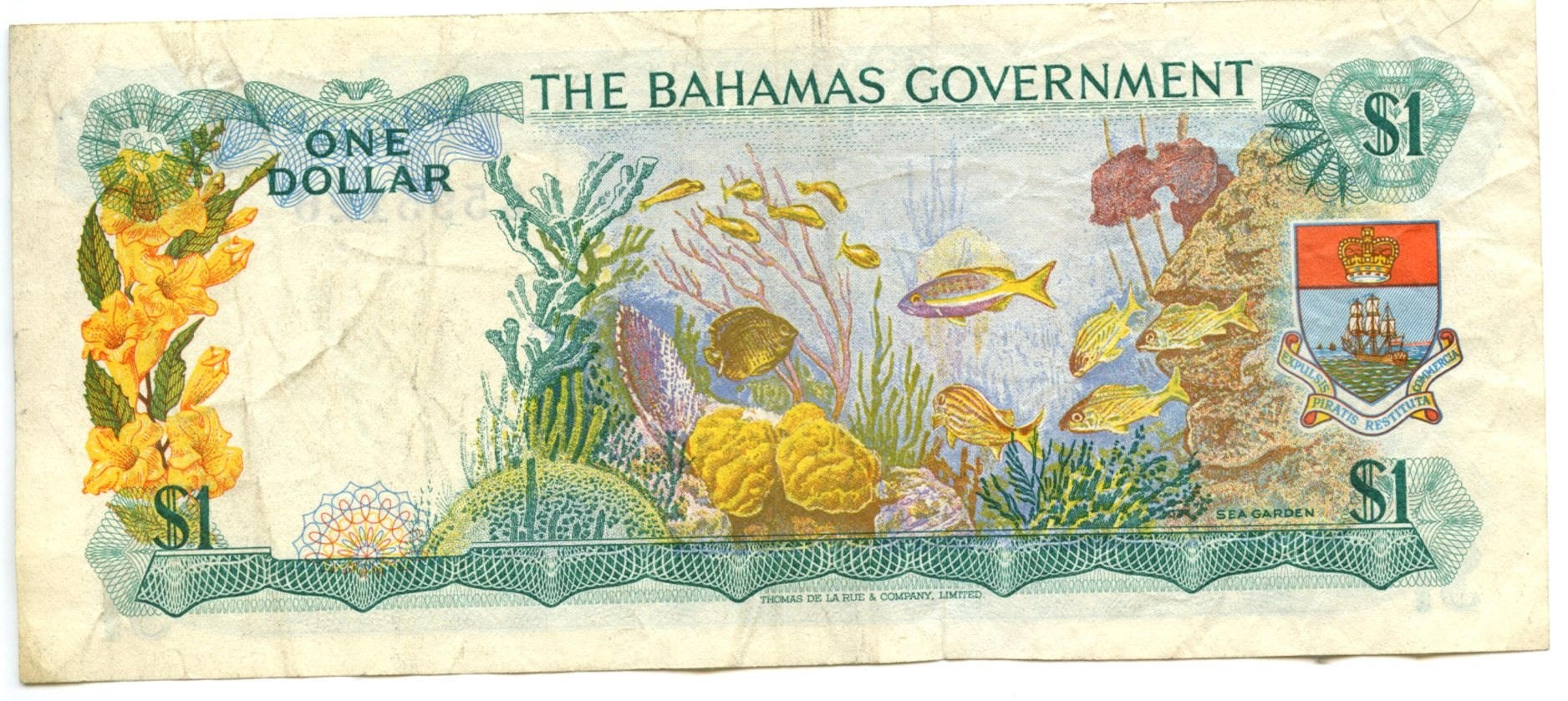 Bahamas Currency