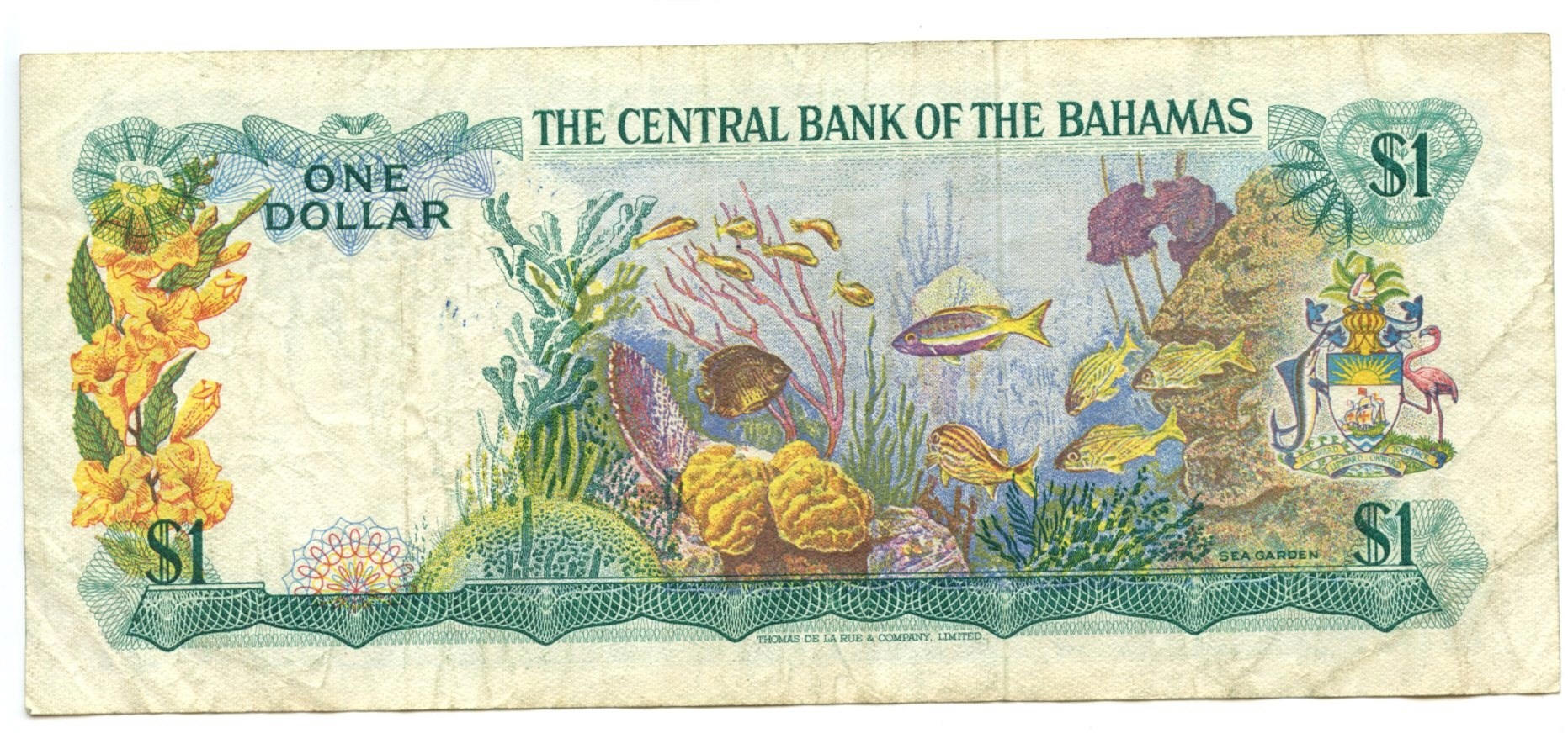 Bahamas Currency